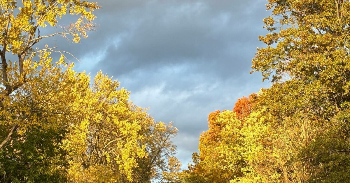 The Voice of The Vale - Fall 2025 | Vale Cemetery