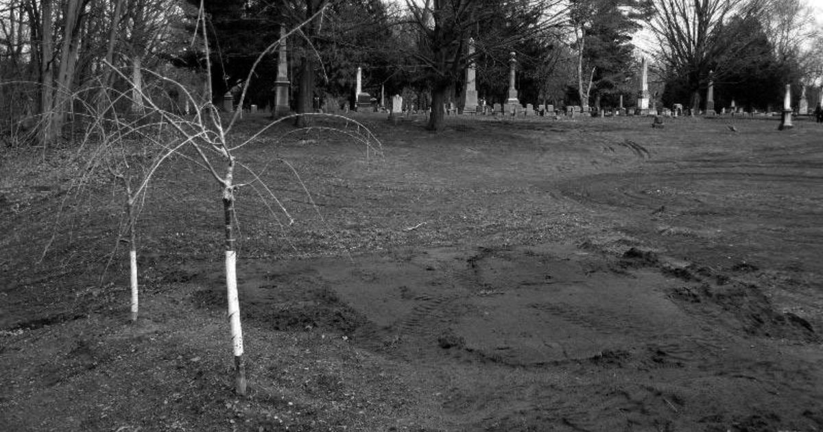 The "Dell" at Vale | Vale Cemetery