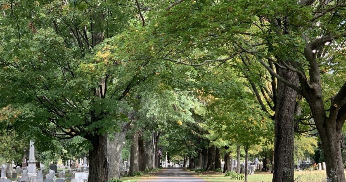 News From Vale | Vale Cemetery